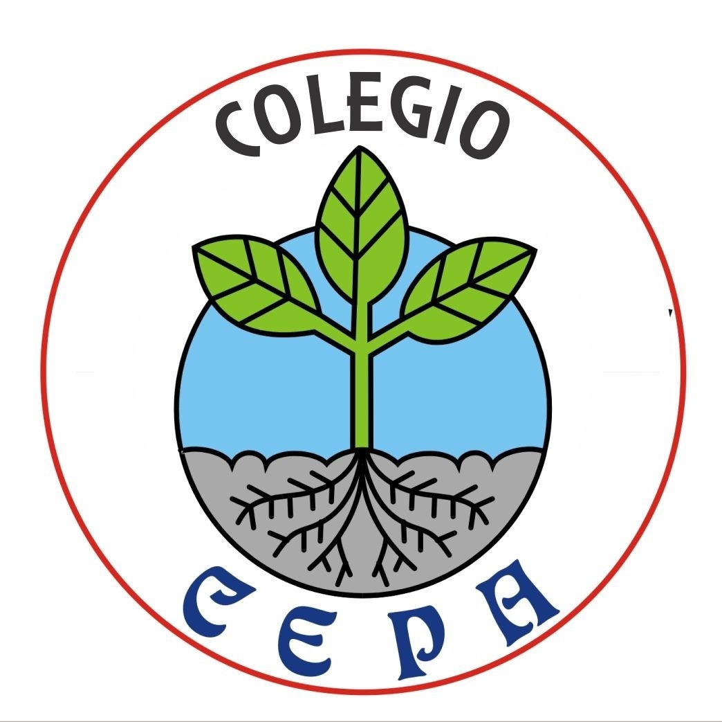 Valores institucionales – CEPA